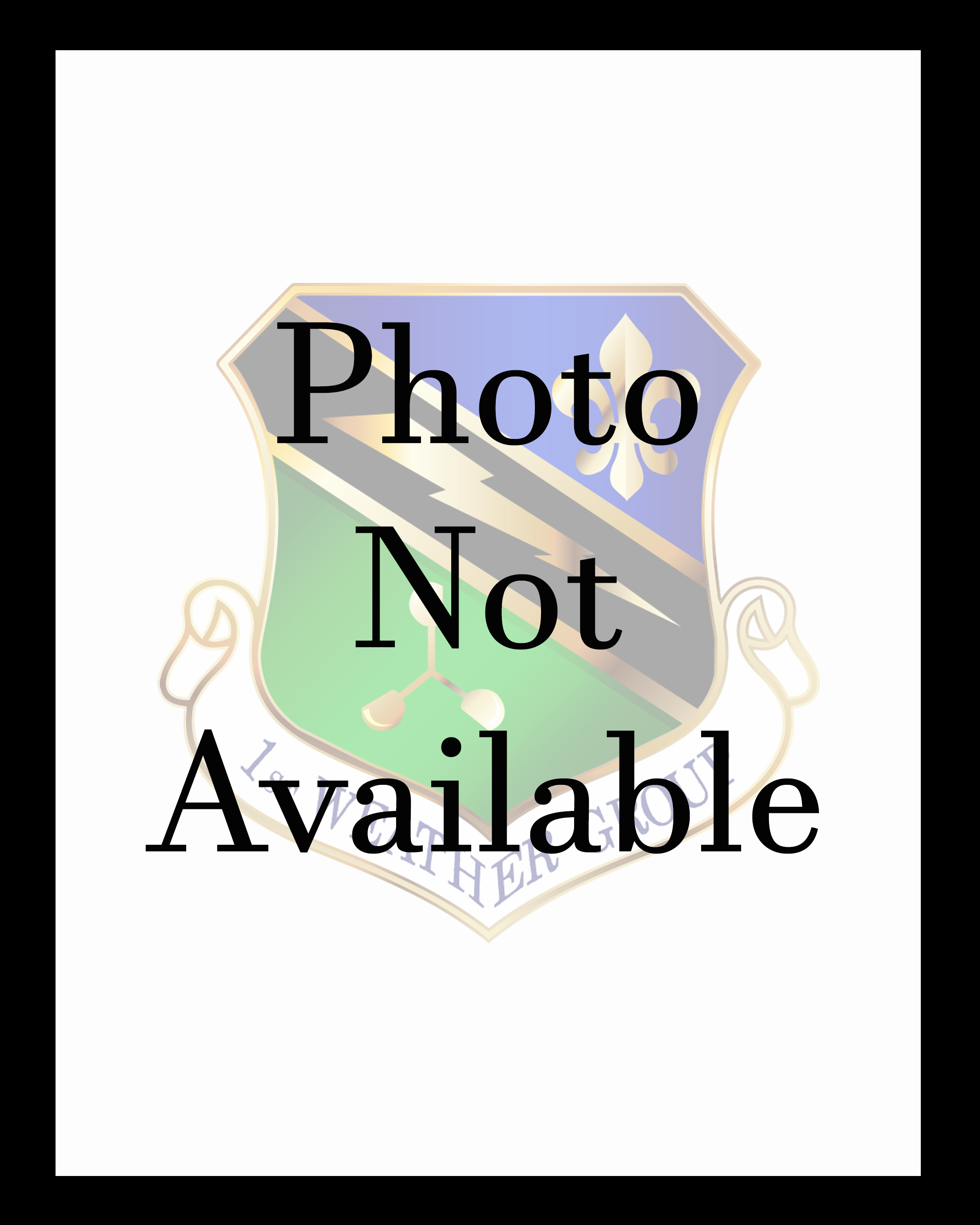 557th Weather Wing > About Us > Leadership